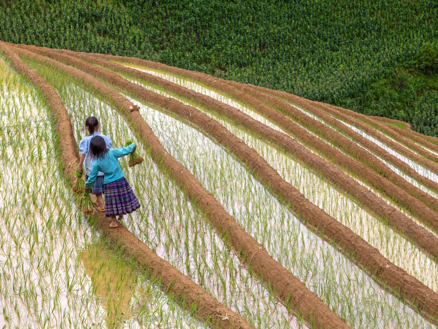 Lisa Kristine Fine Art Humanitarian photography - Intimate Expanse by ...